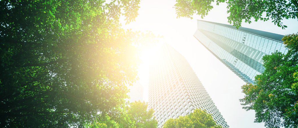 Employee Benefits & Sustainability | Benifex